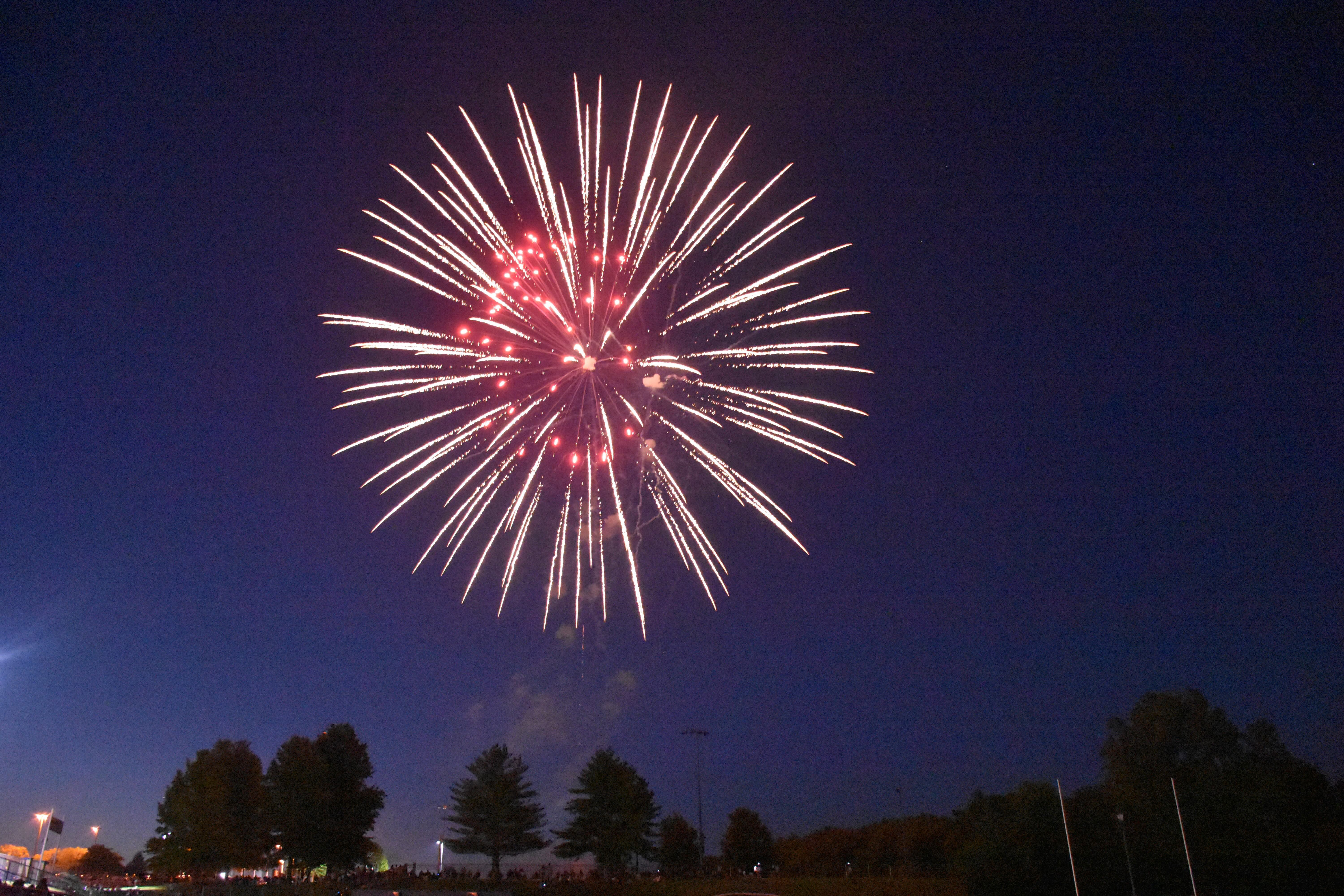 Red, White & Blue Springs | Parade of Hearts